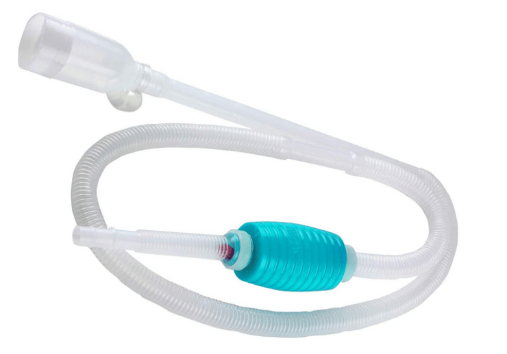 5 Steps To Siphon Aquarium and Clean Water Properly | Fishio.net